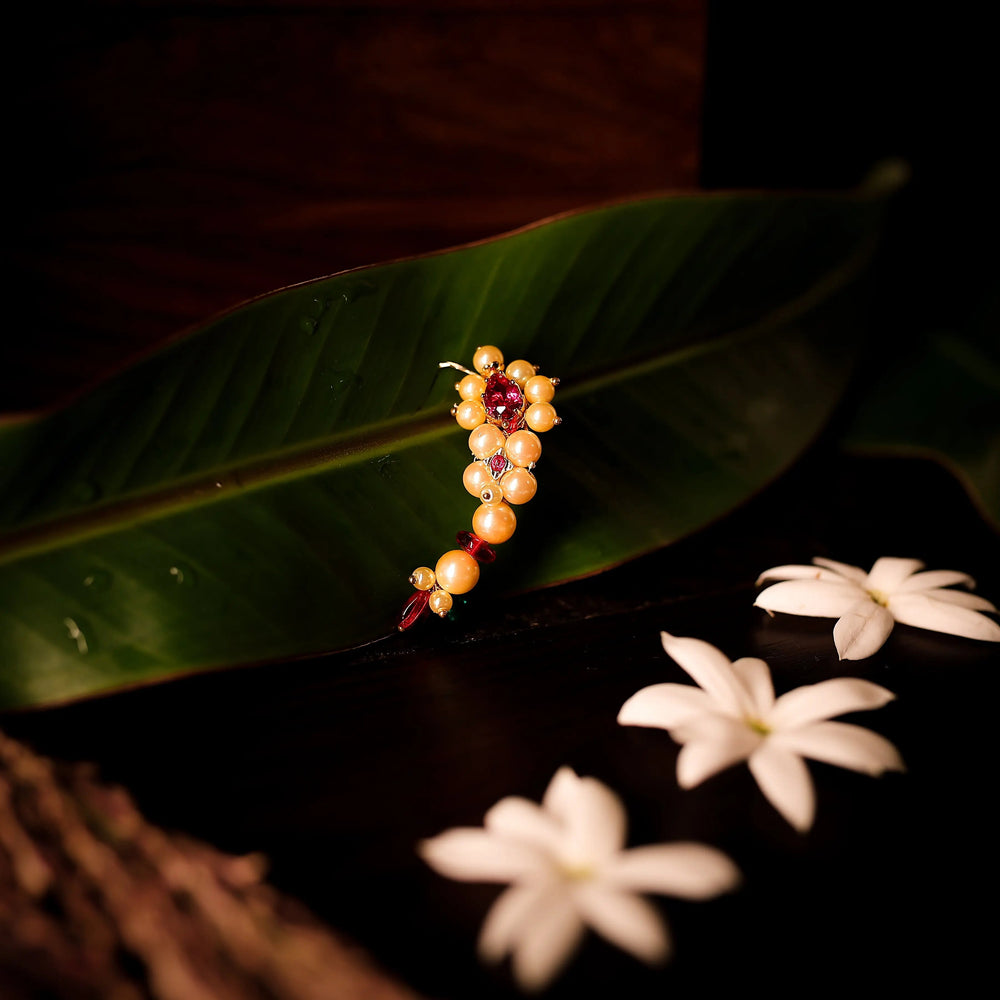 Collections – PrajaktaRaj